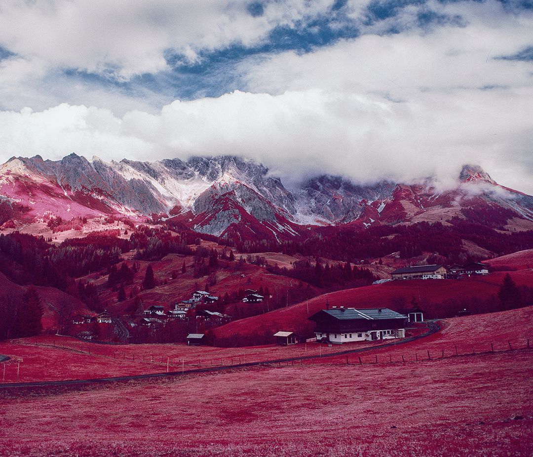 how-to-shoot-colour-infrared-film-by-david-hochleitner