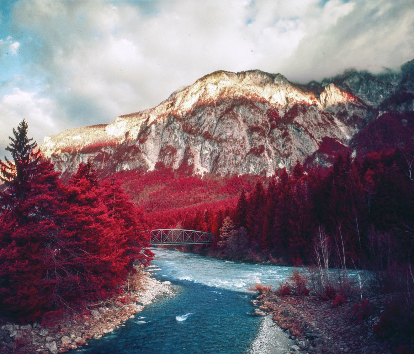 how-to-shoot-colour-infrared-film-by-david-hochleitner