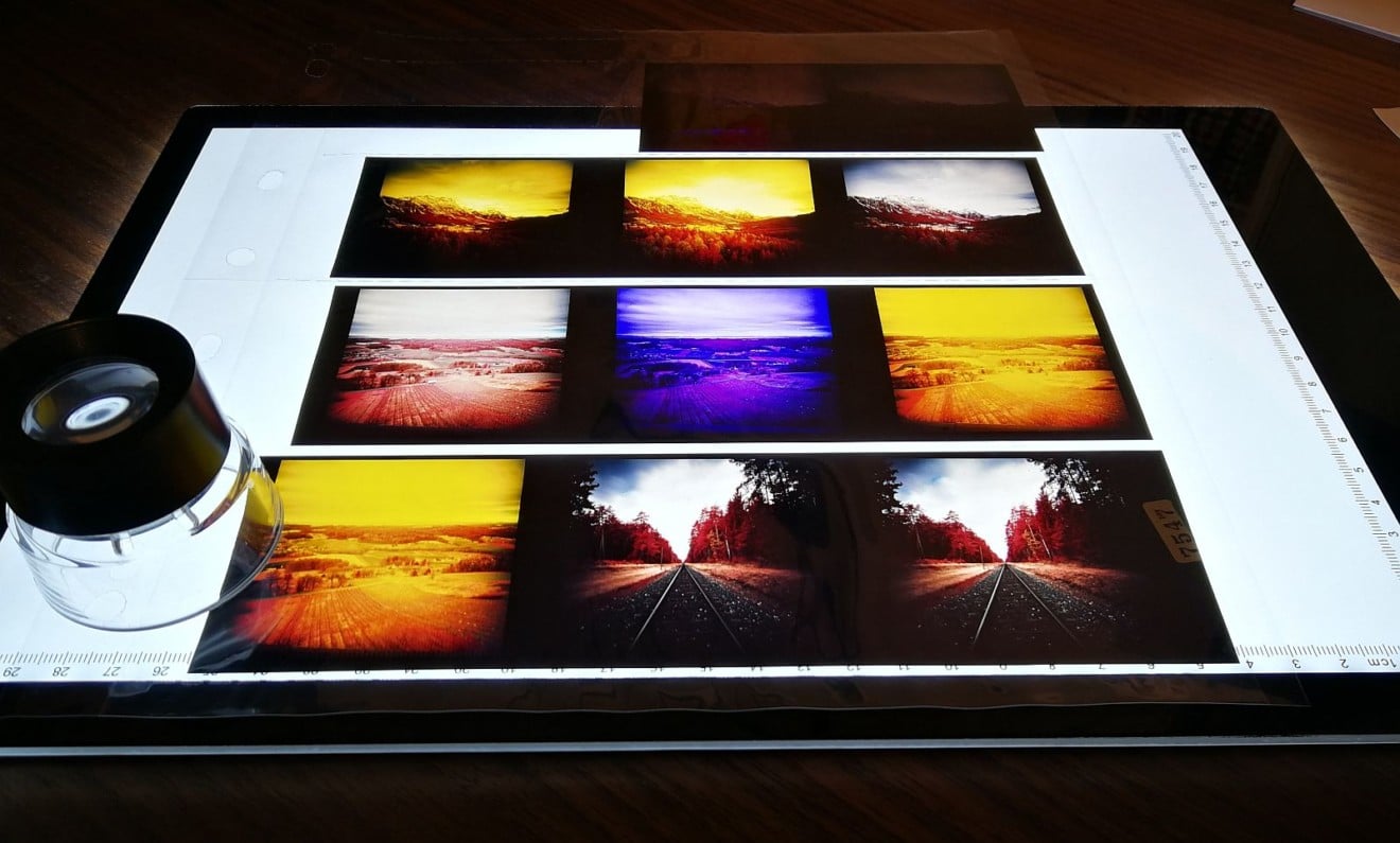 how-to-shoot-colour-infrared-film-by-david-hochleitner