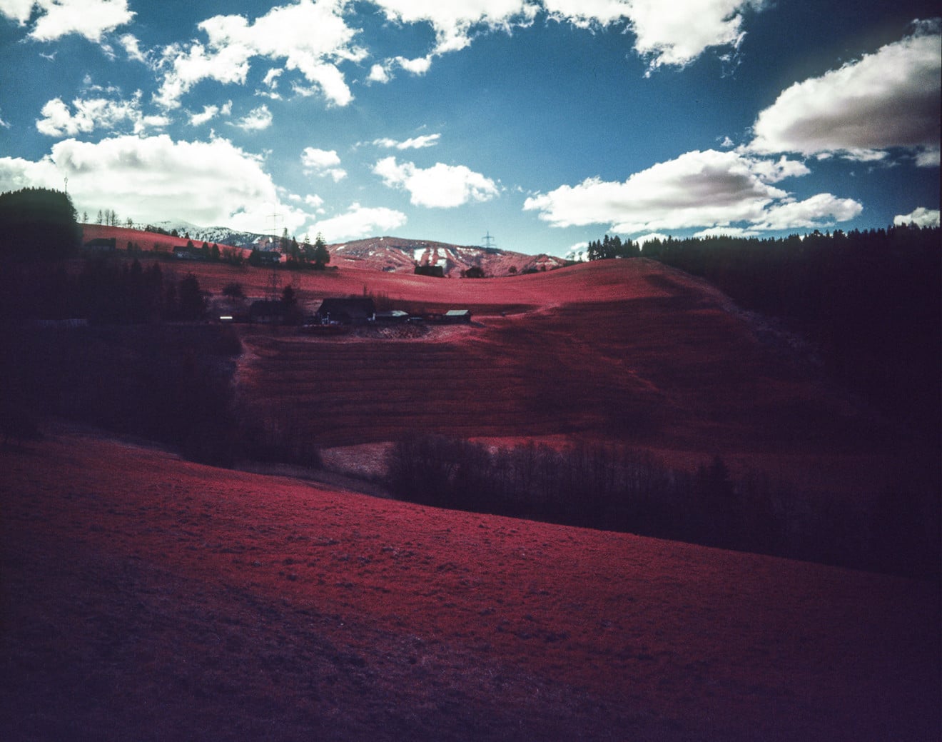 how-to-shoot-colour-infrared-film-by-david-hochleitner