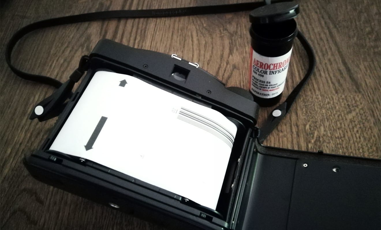 how-to-shoot-colour-infrared-film-by-david-hochleitner