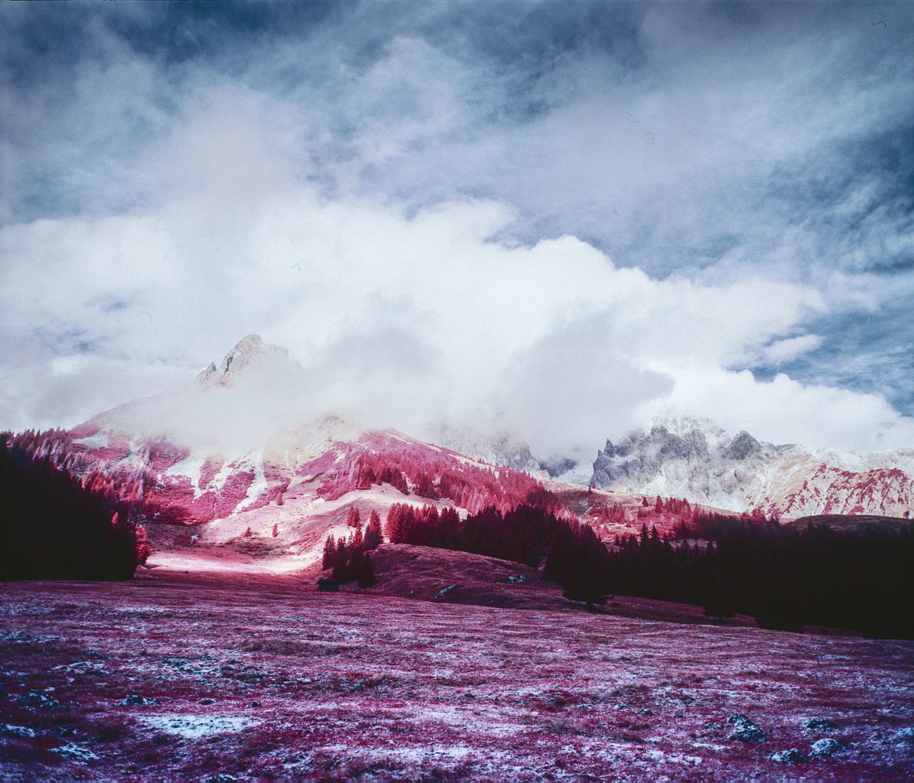 how-to-shoot-colour-infrared-film-by-david-hochleitner