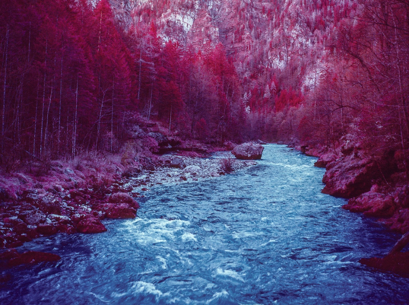 how-to-shoot-colour-infrared-film-by-david-hochleitner