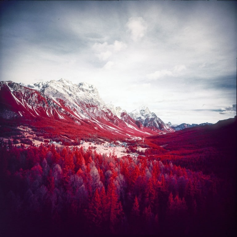 how-to-shoot-colour-infrared-film-by-david-hochleitner