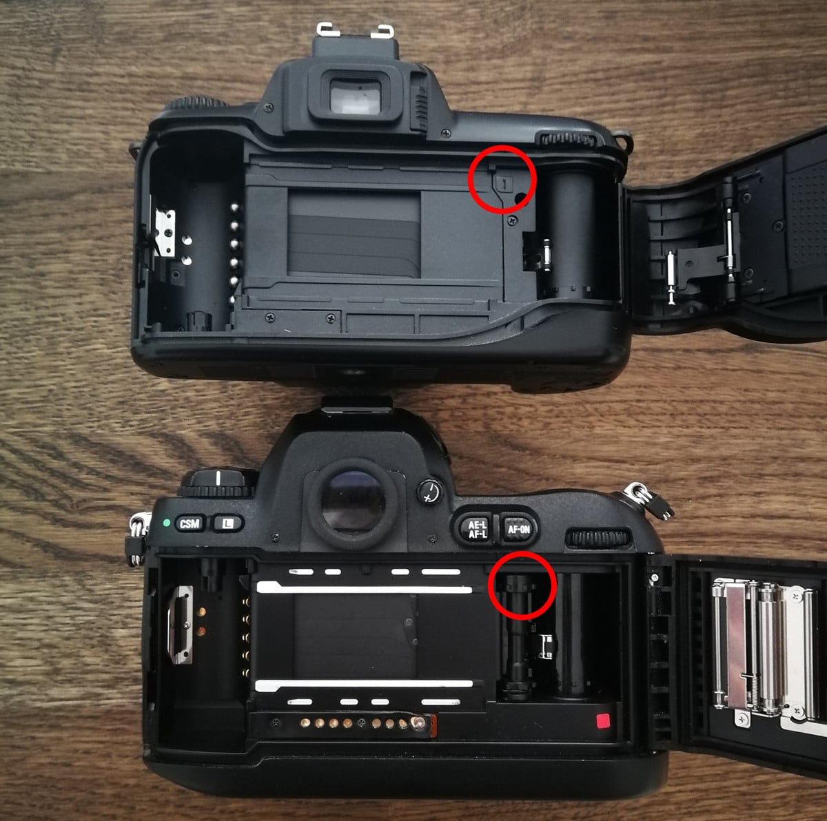 how-to-shoot-colour-infrared-film-by-david-hochleitner