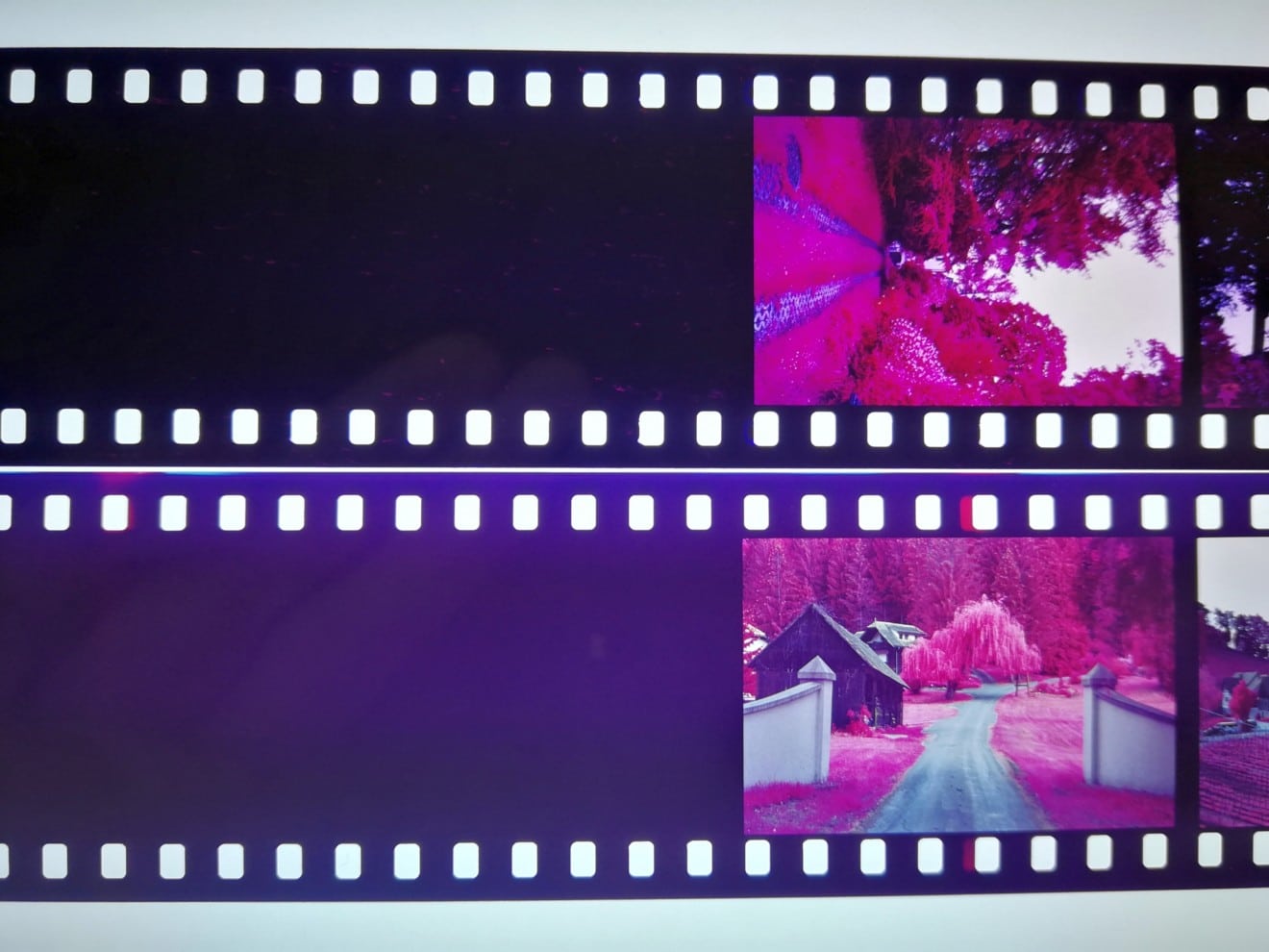 how-to-shoot-colour-infrared-film-by-david-hochleitner