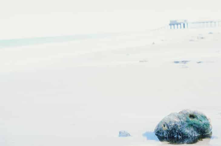 Shooting slide film for the first time - a look at Ektachrome